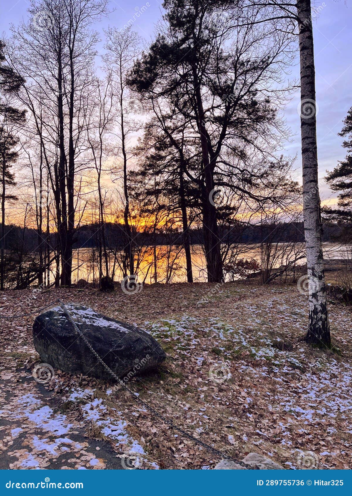 Cold sunset stock photo. Image of sunset, cold, trees - 289755736