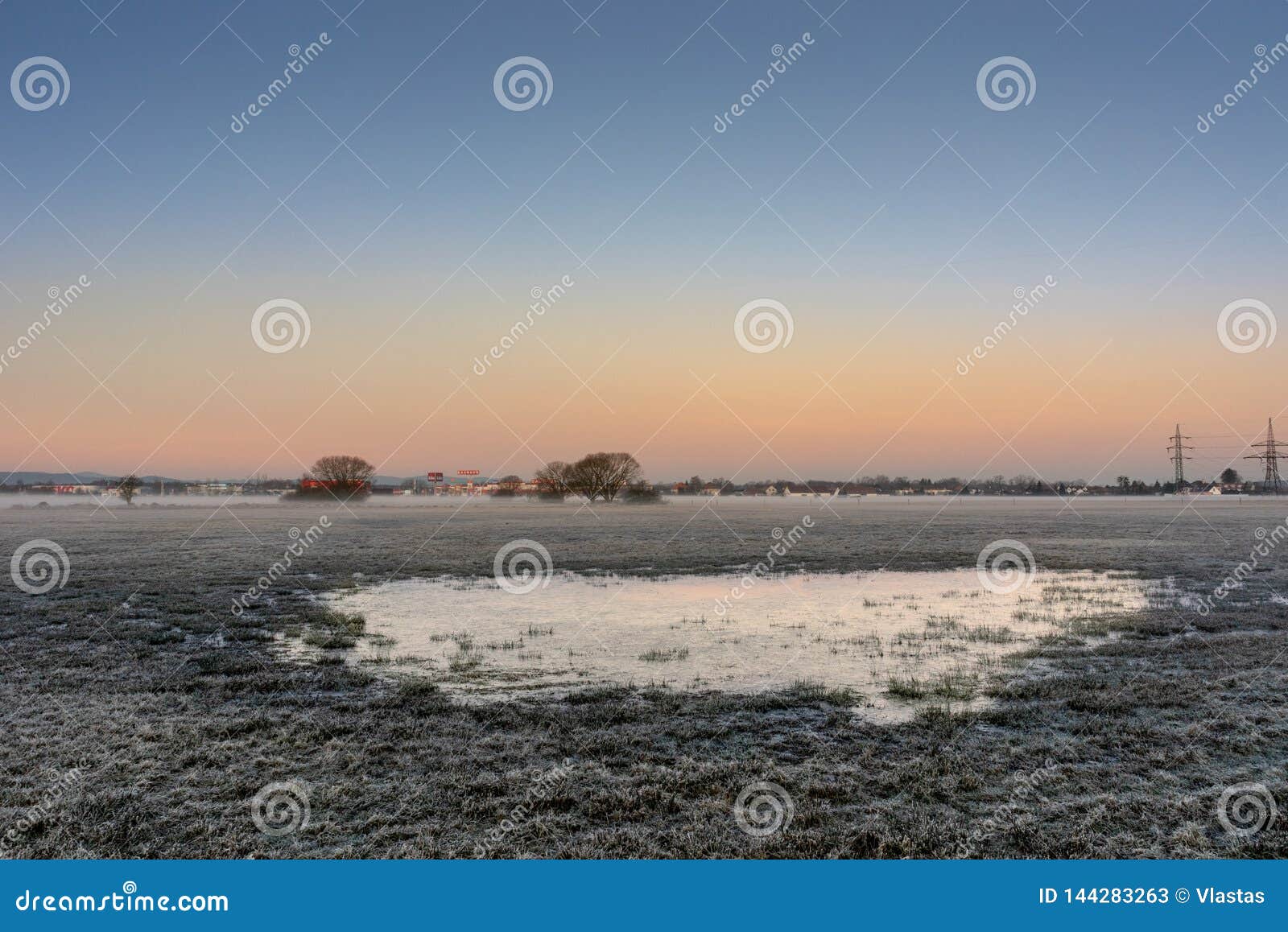 Cold Swamp stock image. Image of ecology, frosty, morning - 144283263