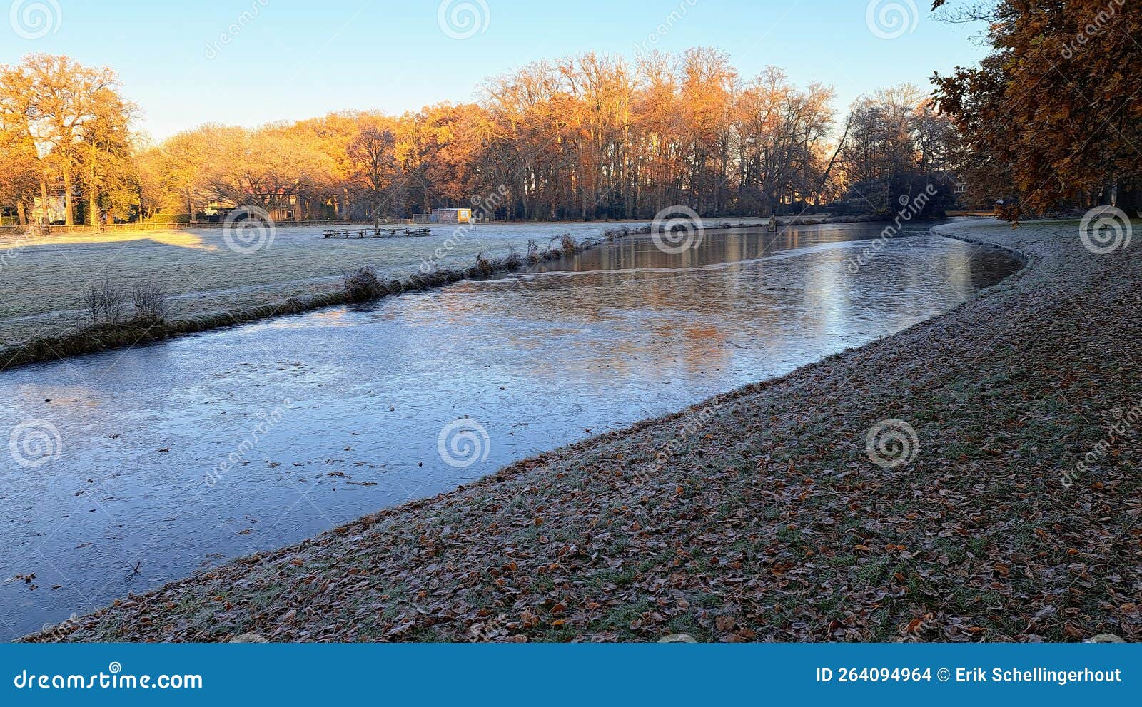 A Cold View with a Little Bit Ice Stock Photo - Image of autumn, plant ...