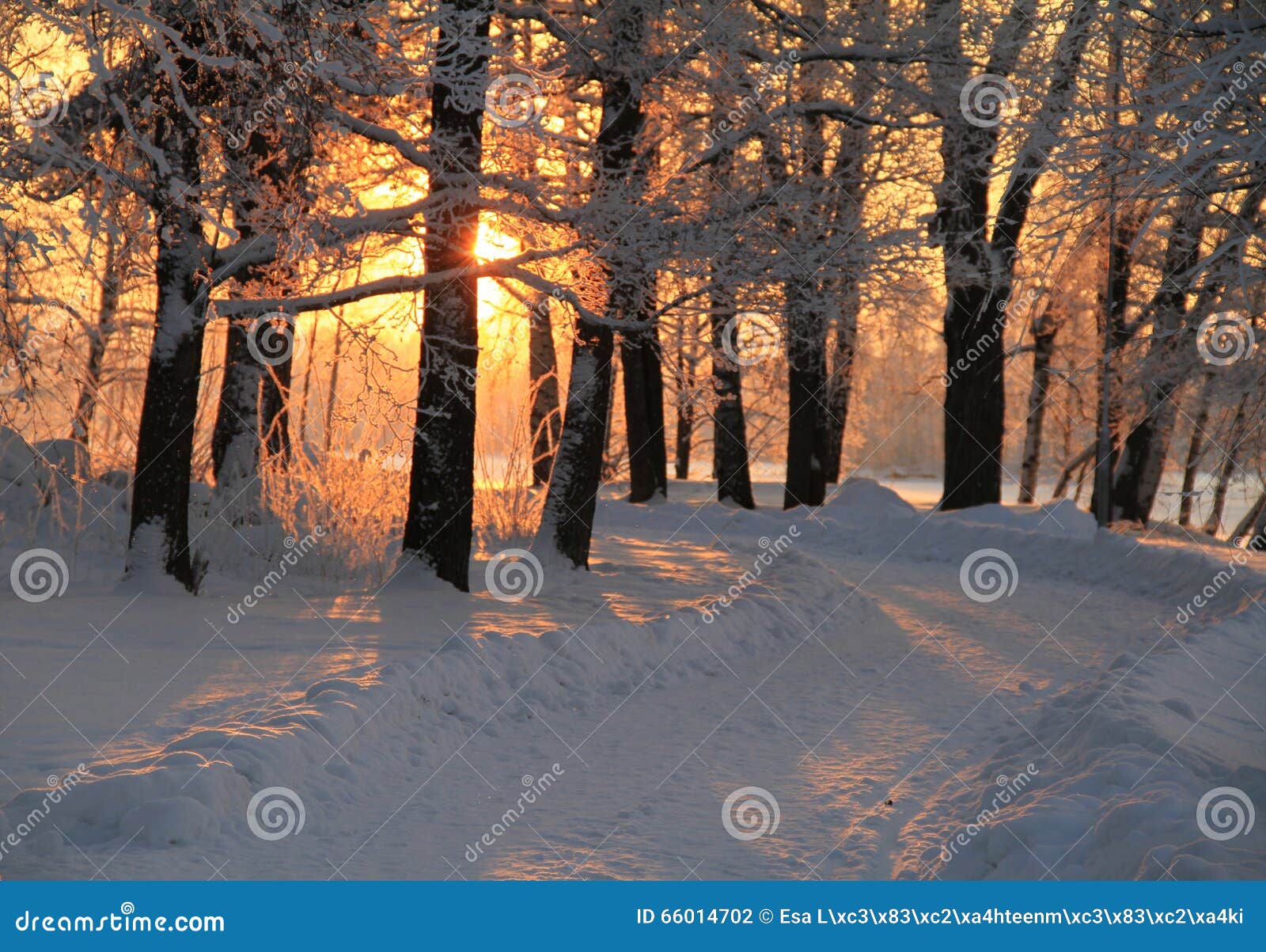 Cold and warm landscape stock photo. Image of lane, country - 66014702