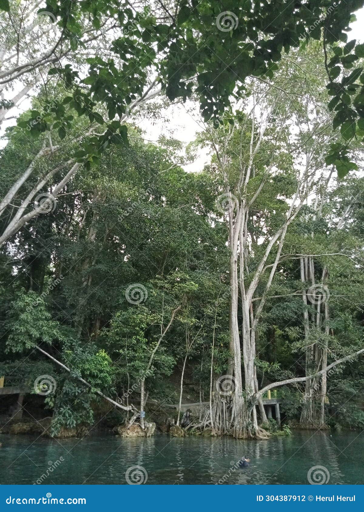 Cold Water Baths with Blue and Cool Water Combined with Green Natural ...