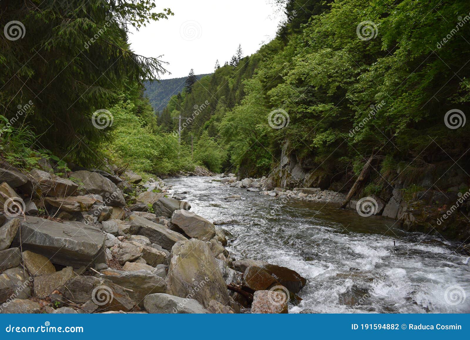 Cold Water River in the Mountains Stock Photo - Image of river ...