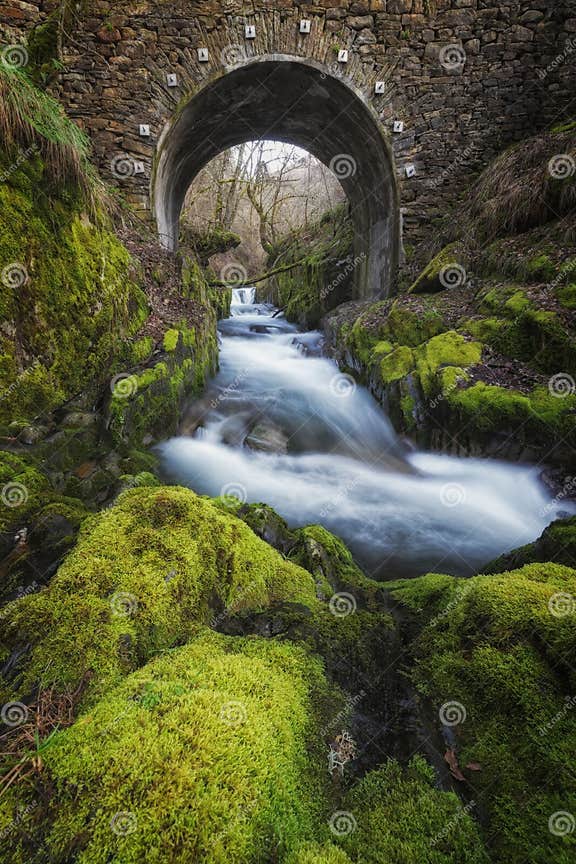 The bridge stock photo. Image of downstream, water, landscape - 229769046