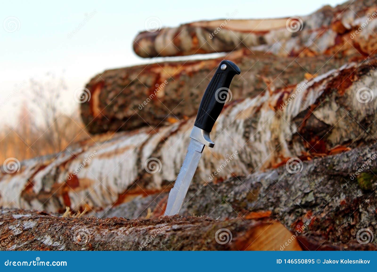 Cold Weapons Against the Background of Spring Nature. Stock Image ...