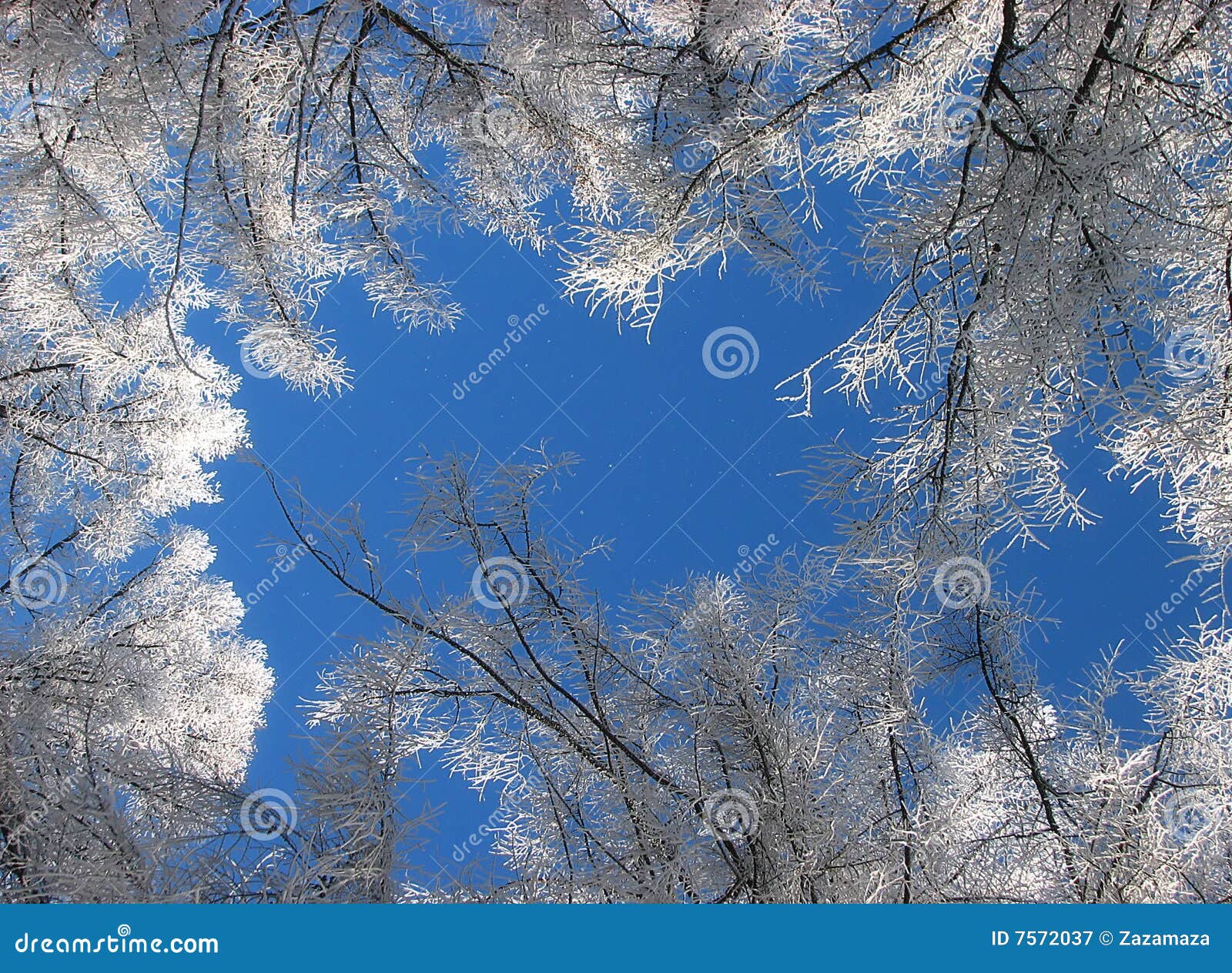 Cold weather stock image. Image of horizontal, nature - 7572037