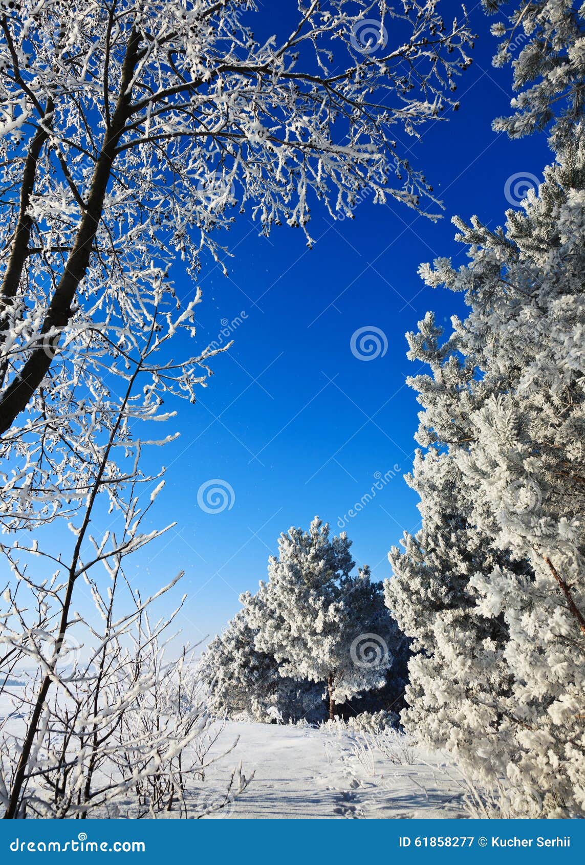 Cold weather stock image. Image of cold, white, frost - 61858277