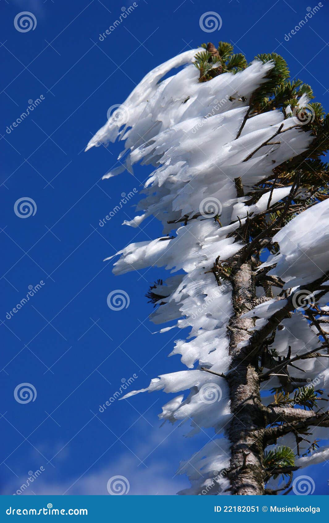Cold wind. stock image. Image of motion, straight, wind - 22182051