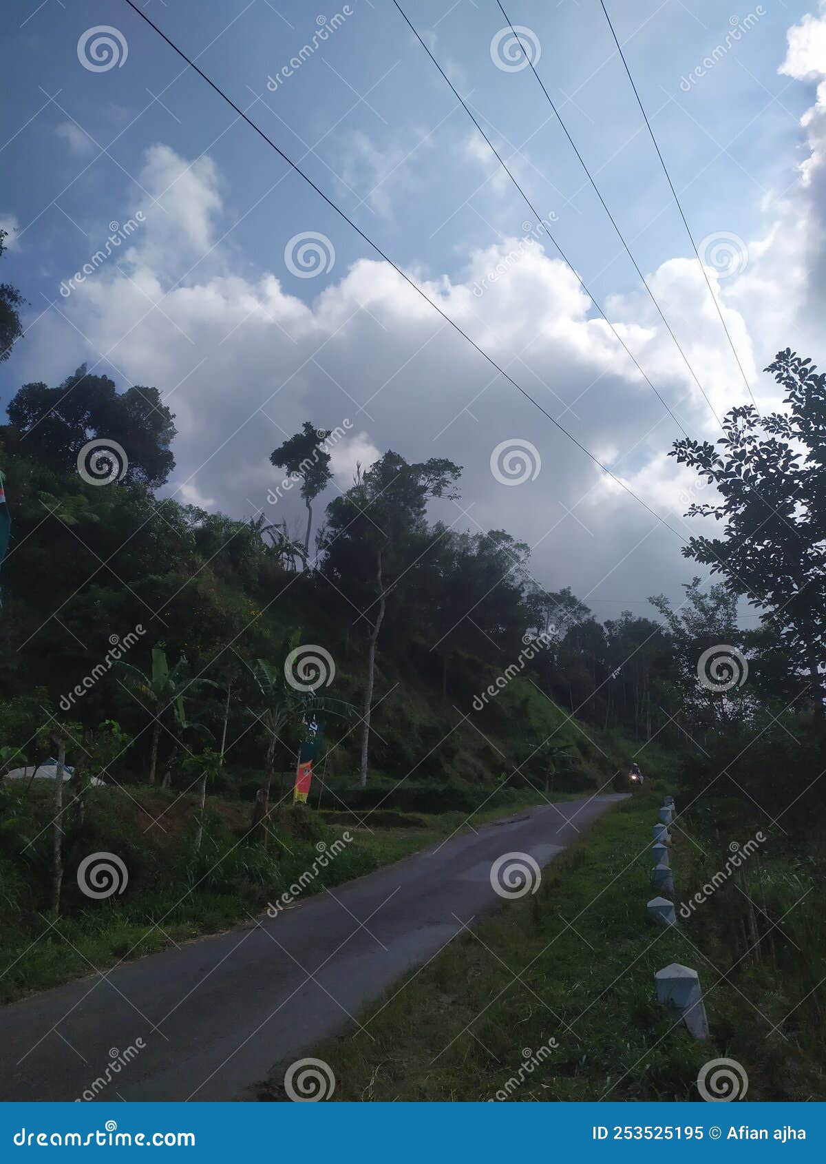 Cold wind in the morning stock image. Image of streetlight - 253525195