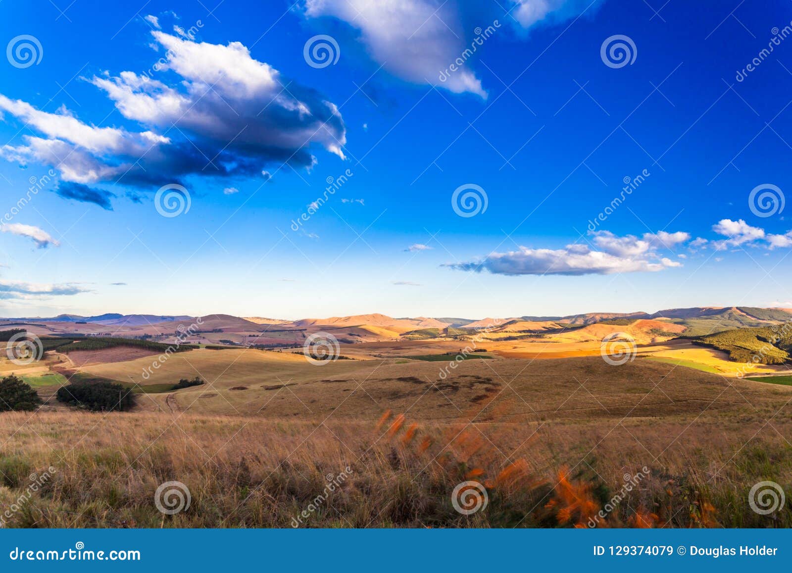 A Cold and Windy Afternoon in the Dargle Valley Stock Image - Image of ...