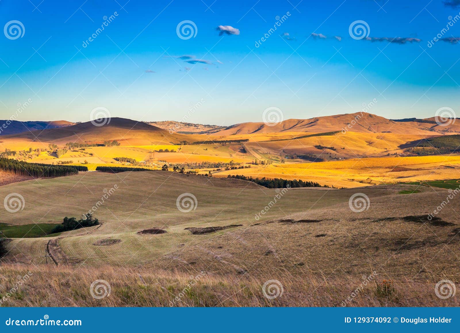 A Cold and Windy Afternoon in the Dargle Valley Stock Photo - Image of ...