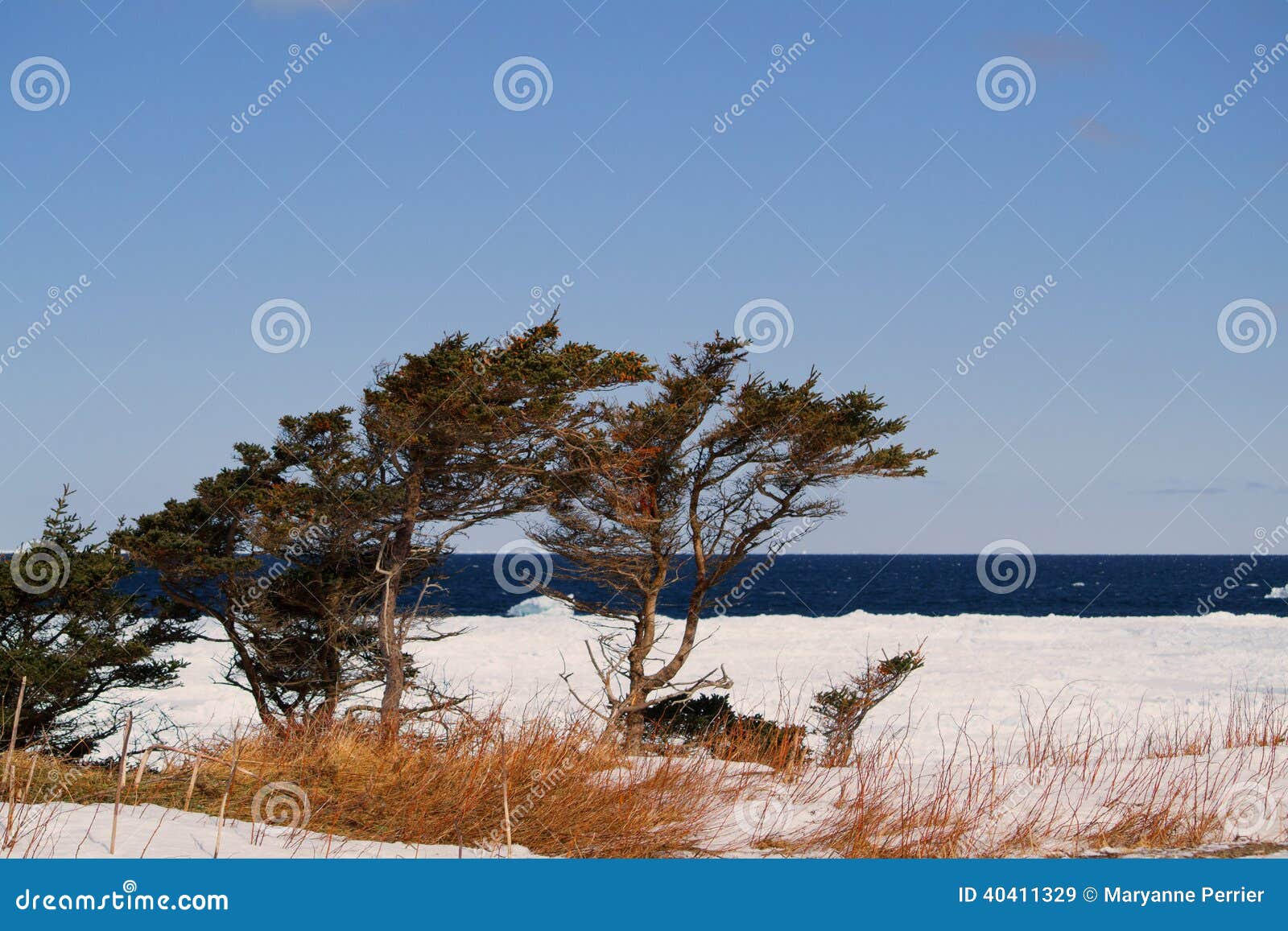 A cold windy day stock image. Image of wallpaper, background - 40411329