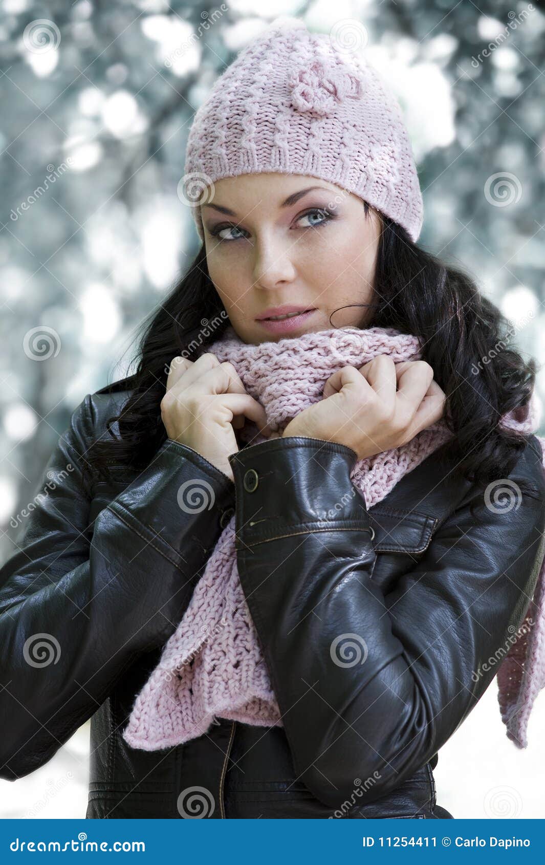 Cold winter stock image. Image of christmas, fashion - 11254411