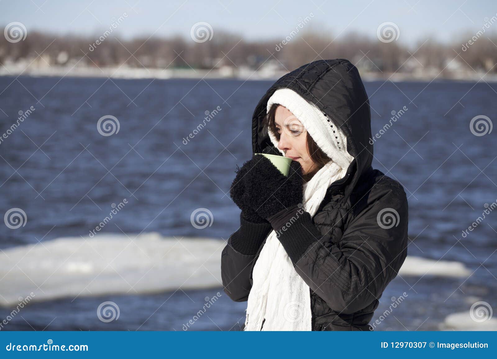 Cold winter stock image. Image of happy, gorgeous, coat - 12970307