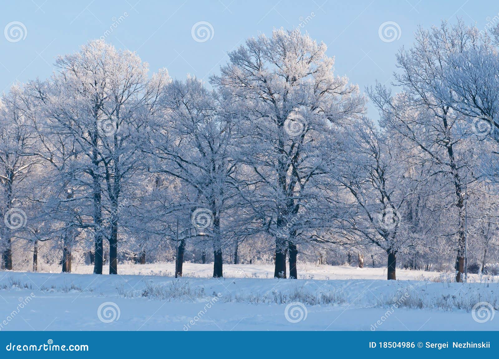 Cold winter day stock photo. Image of nature, russia - 18504986