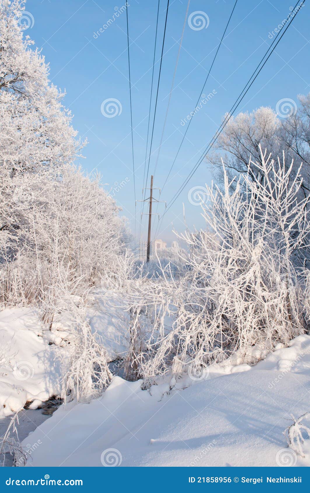 Cold winter day stock photo. Image of snow, transmit - 21858956