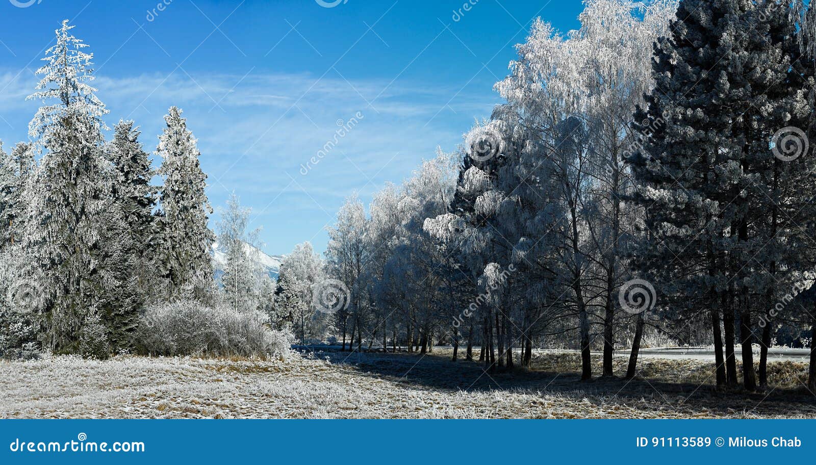 Cold Winter Day, Hoarfrost and Rime on Trees Stock Image - Image of ...