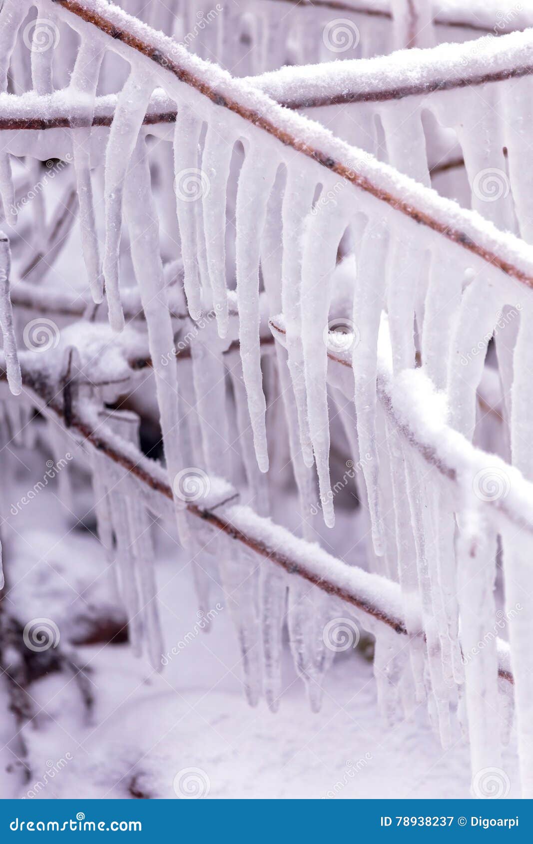 Cold Winter Day with Many Icicle Stock Image - Image of frost, frozen ...