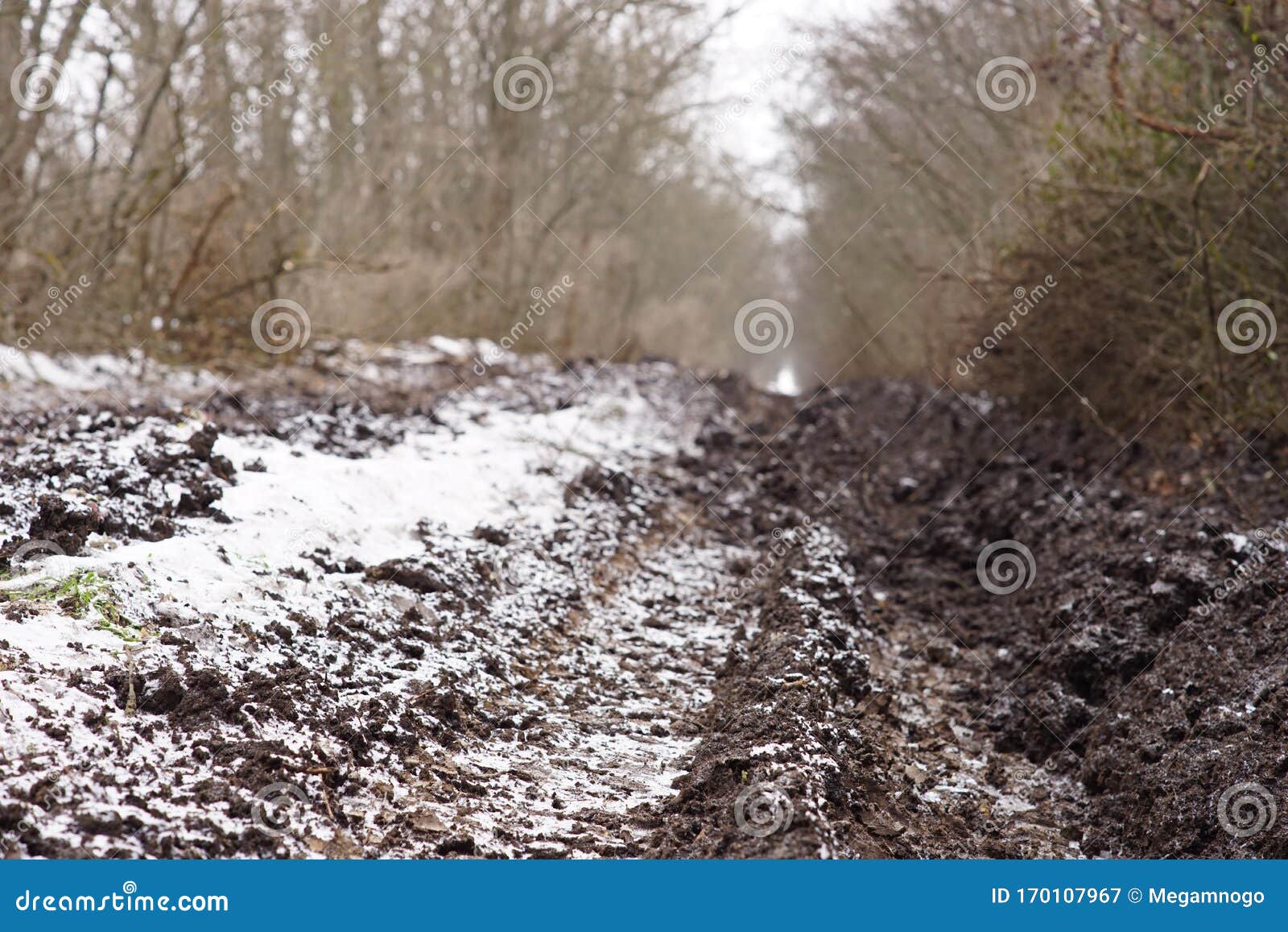Cold Winter Forest with Dirt Road in the First Snow Stock Image - Image ...