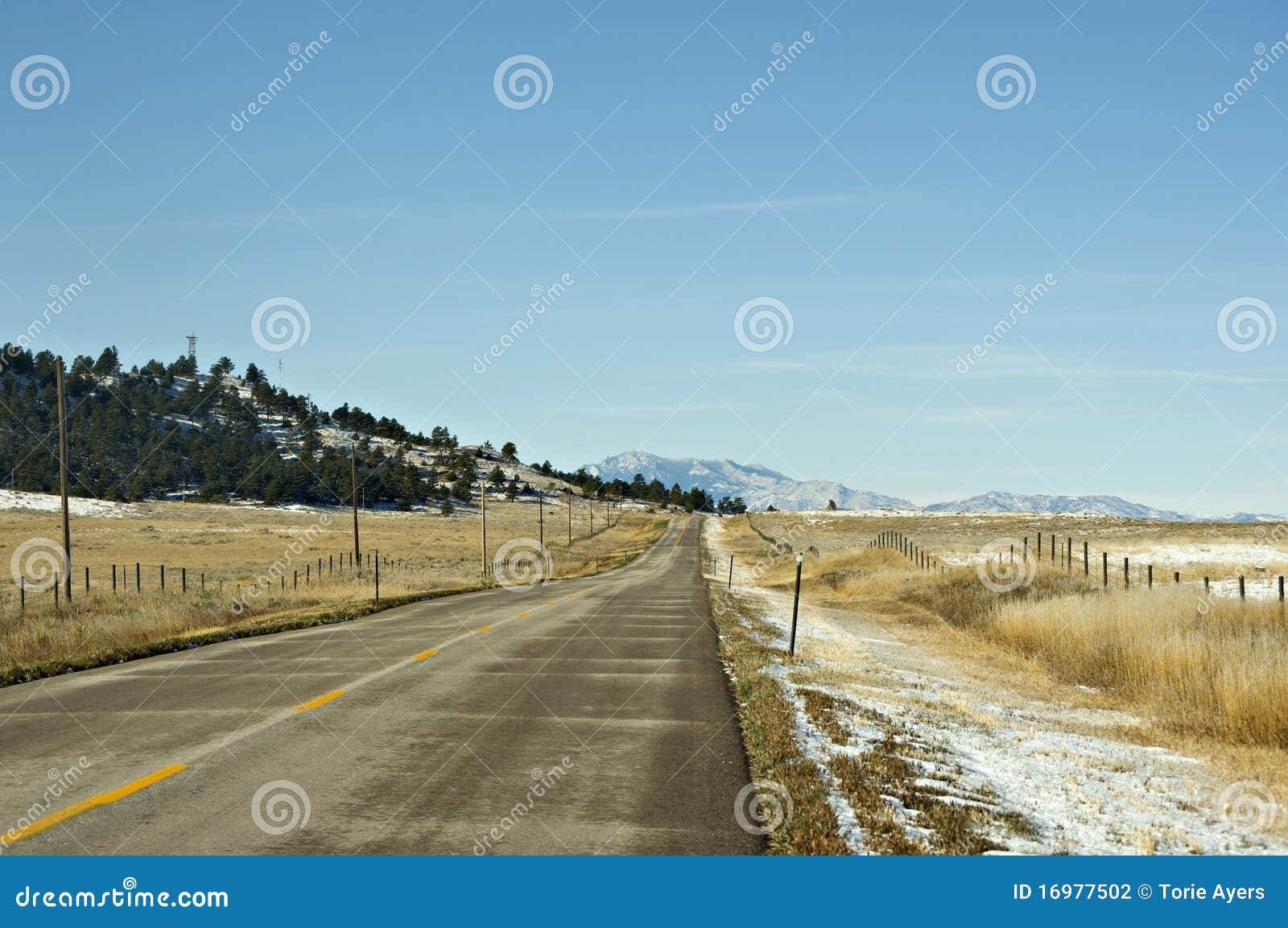 Cold winter highway stock photo. Image of trees, peak - 16977502