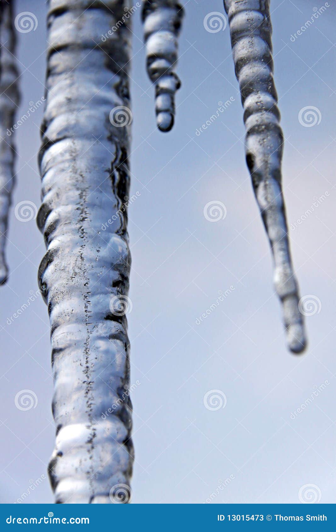 Cold Winter icicles stock image. Image of form, nature - 13015473