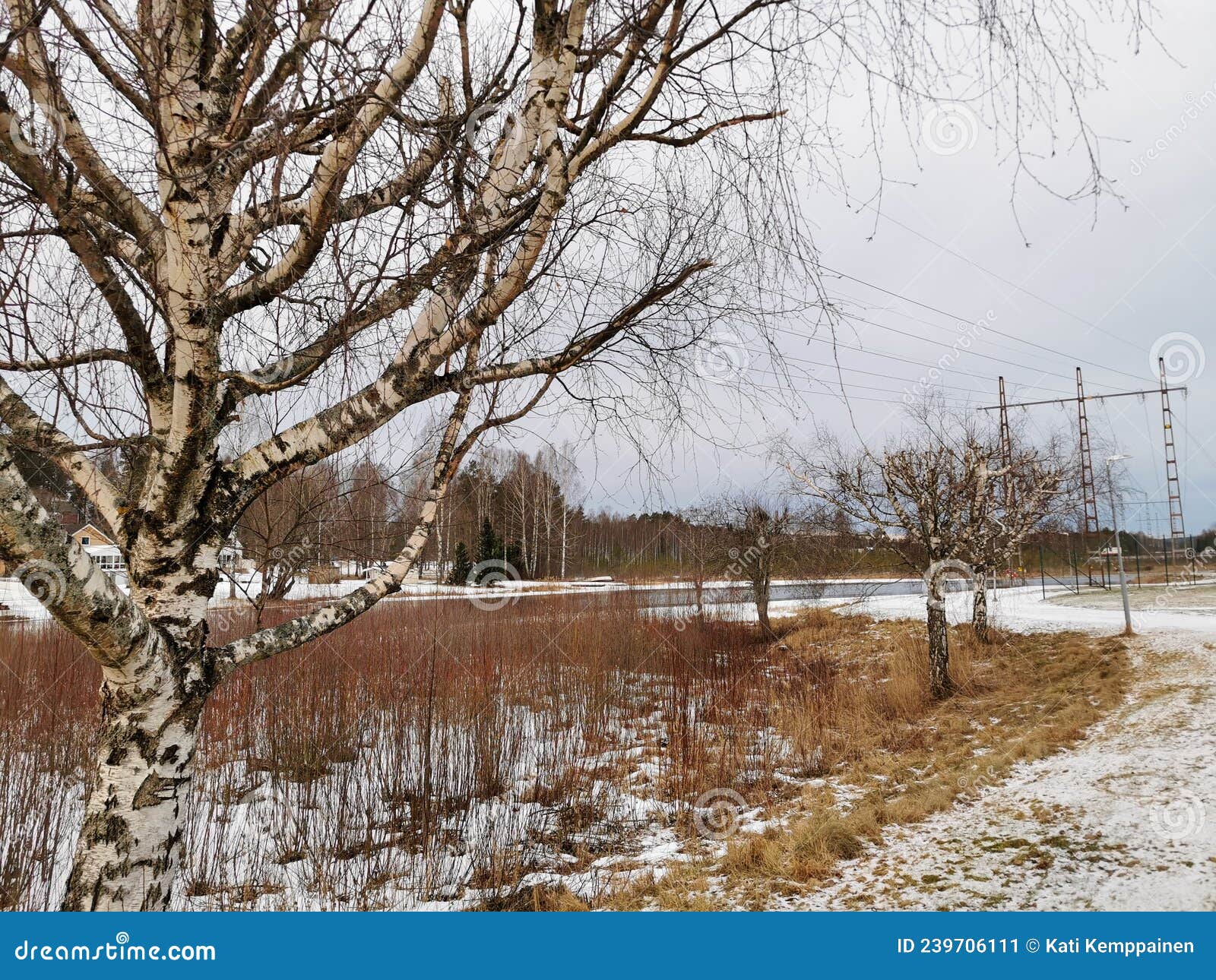 Cold Winter Landscape in Sweden Stock Image - Image of landscape ...