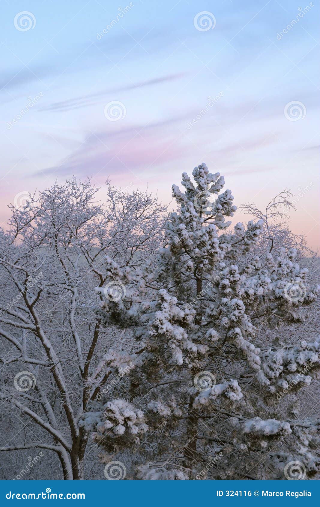 Cold winter morning stock photo. Image of west, frozen - 324116