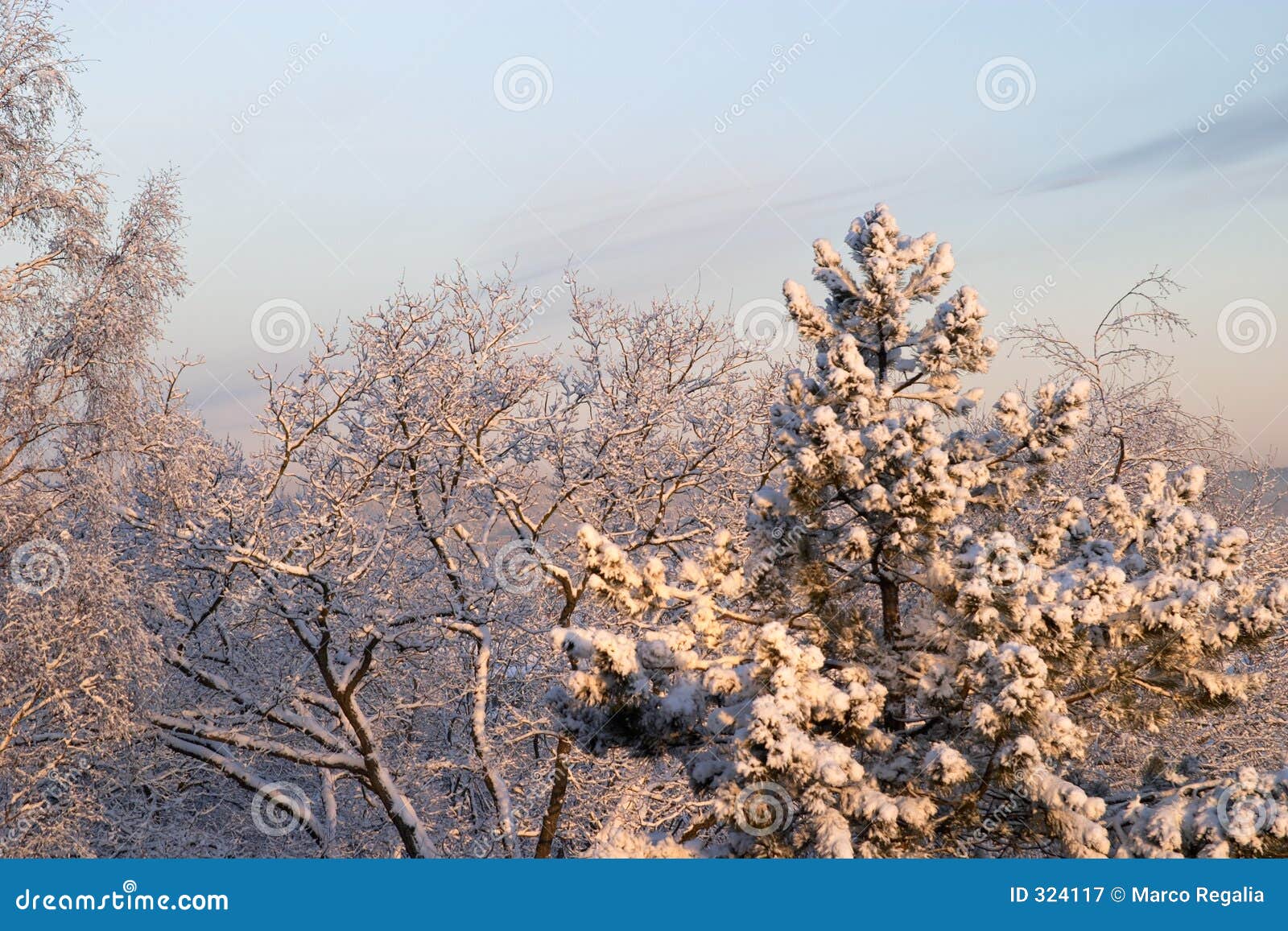 Cold winter morning stock image. Image of colorful, zero - 324117