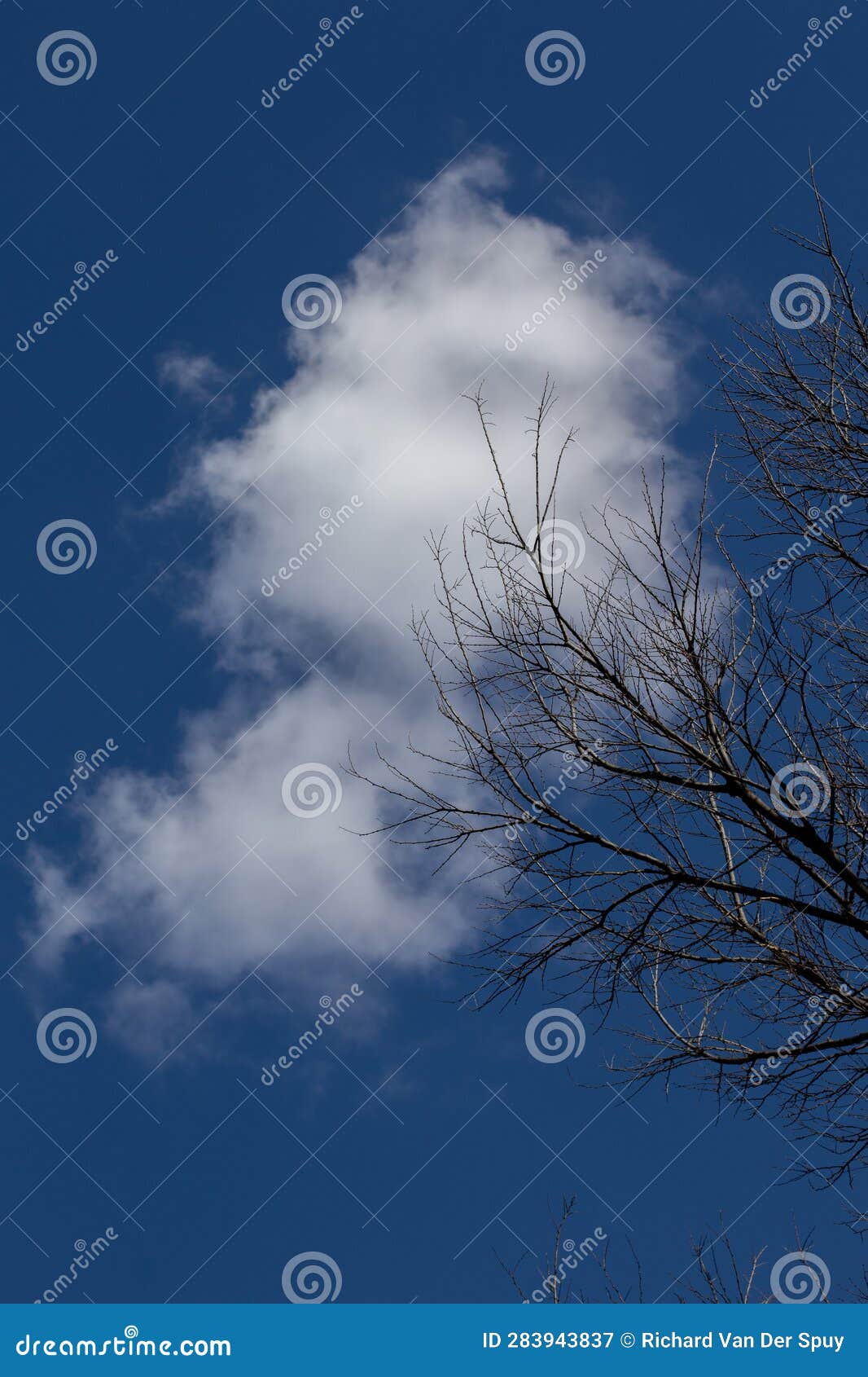Cold Winter Skyline for Background Use Stock Image - Image of design ...