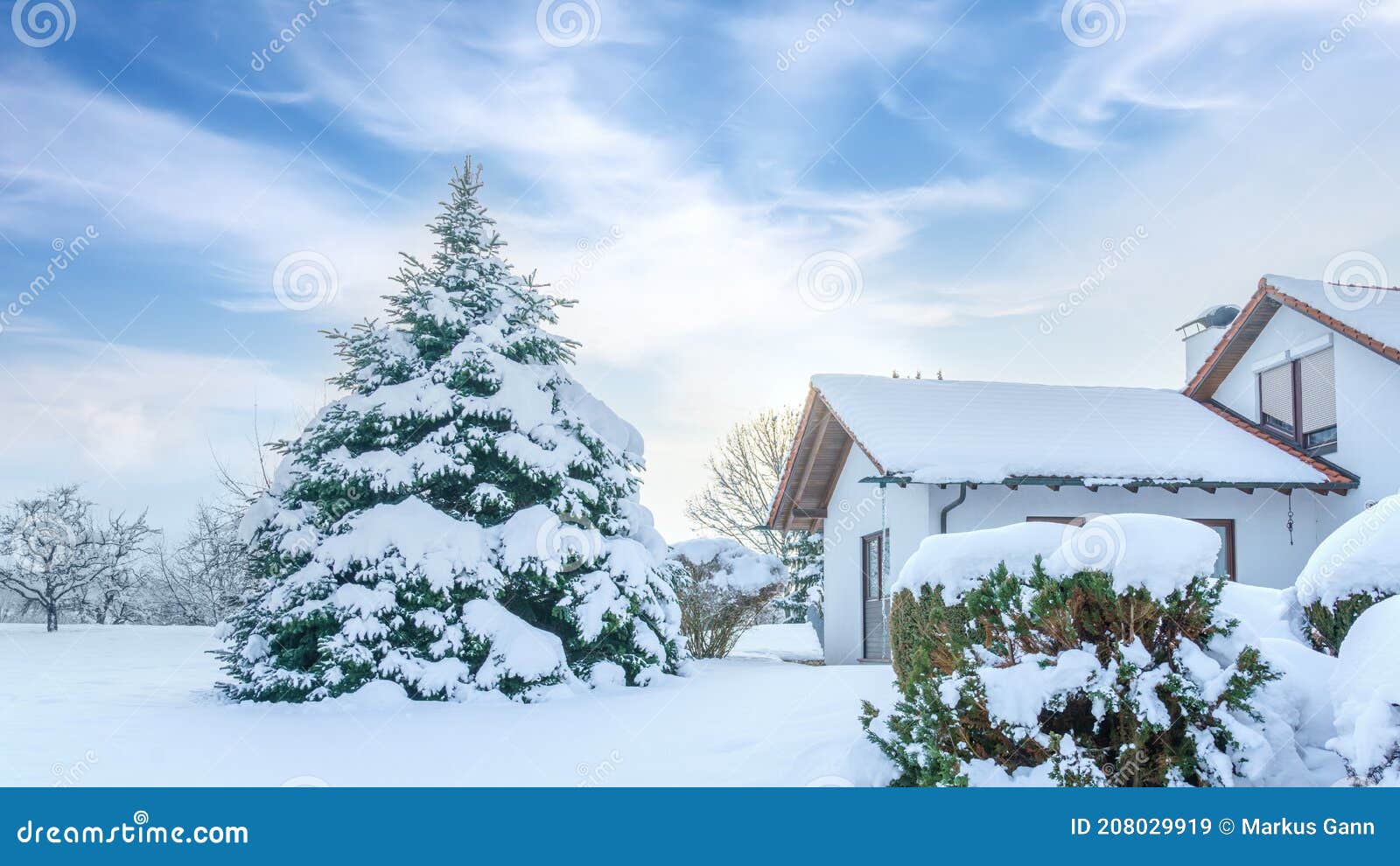 Cold winter snow scenery stock image. Image of merry - 208029919