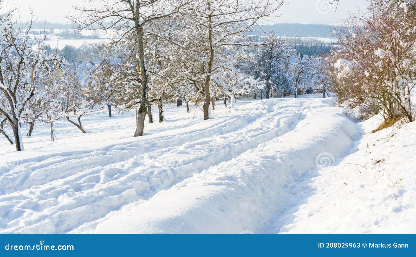 Cold winter snow scenery stock image. Image of tree - 208029963