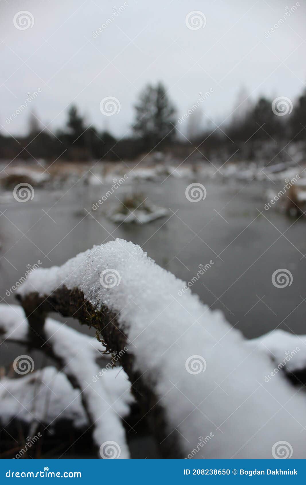 Cold Winter Snow Tree and Water Stock Photo - Image of branch, plant ...