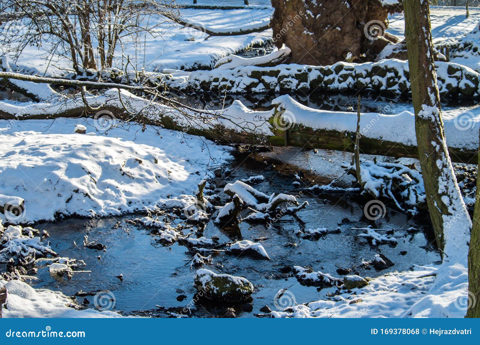 Cold winter stream stock photo. Image of lake, cold - 169378068