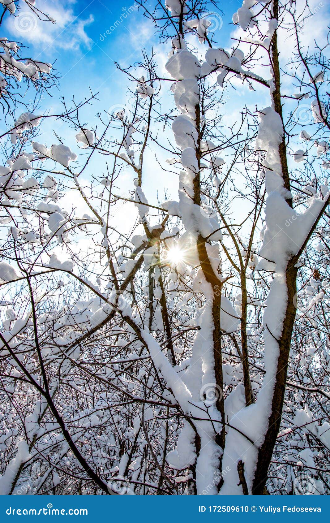 Cold winter sun stock photo. Image of edeg, neacute - 172509610