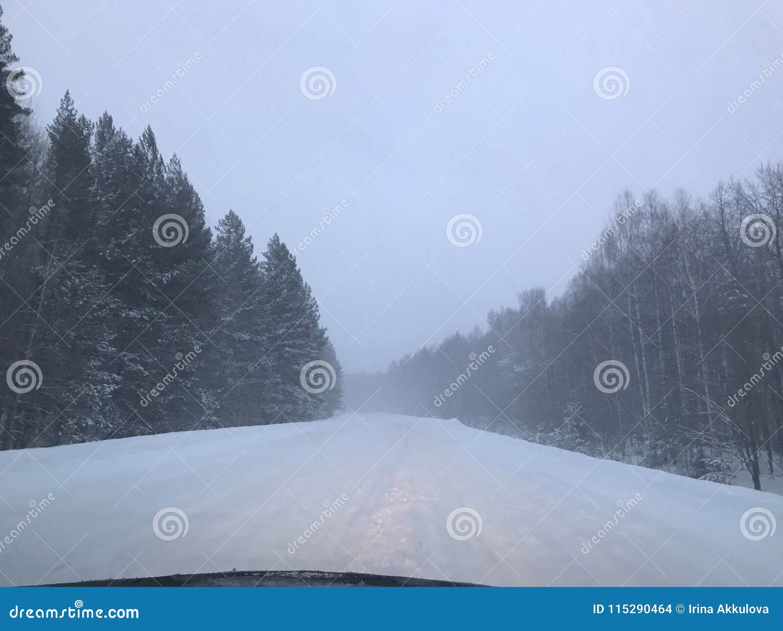 Snow and Wind on the Road in Snowstorm Stock Photo - Image of snow ...