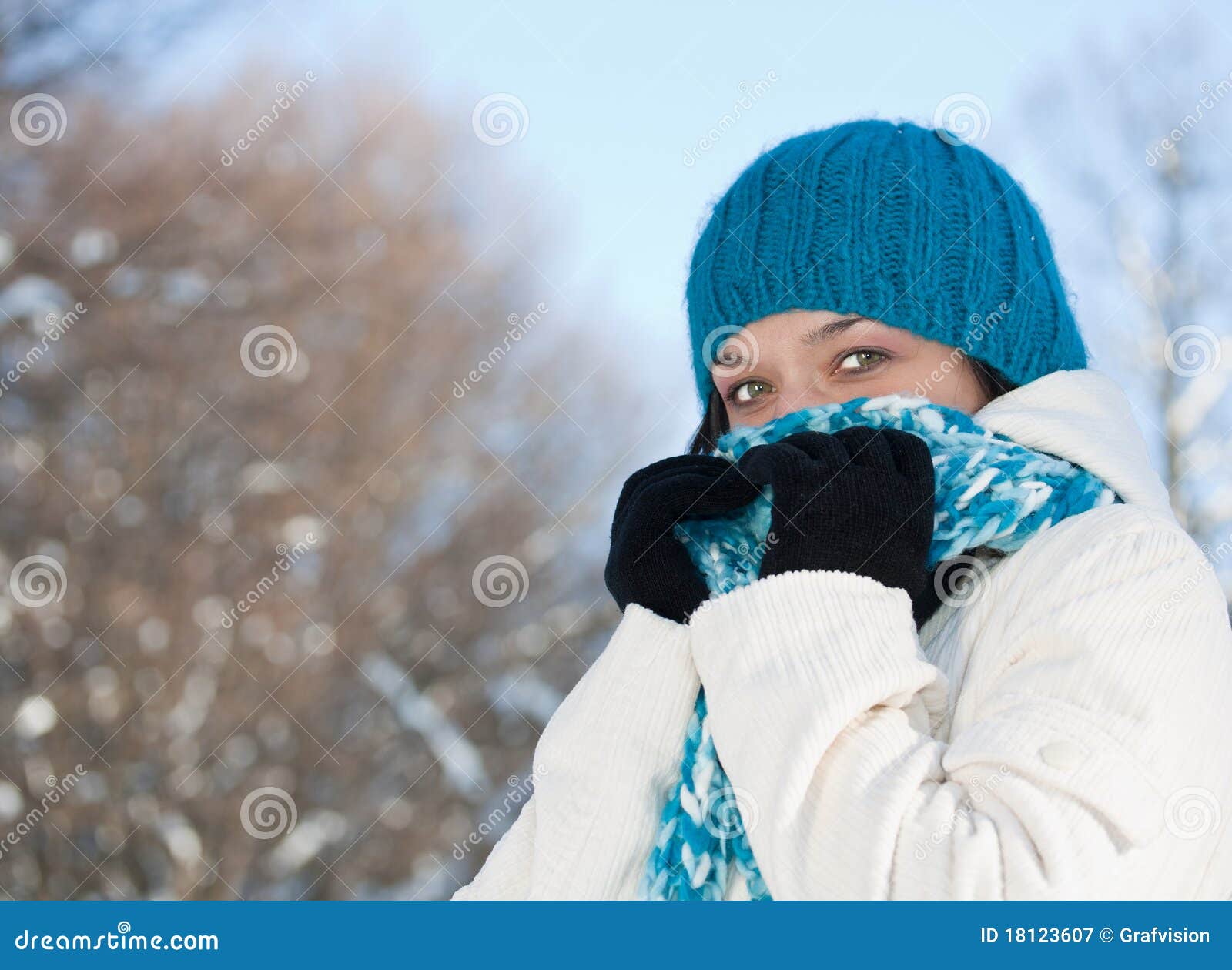 Cold winter woman stock image. Image of gloves, beauty - 18123607