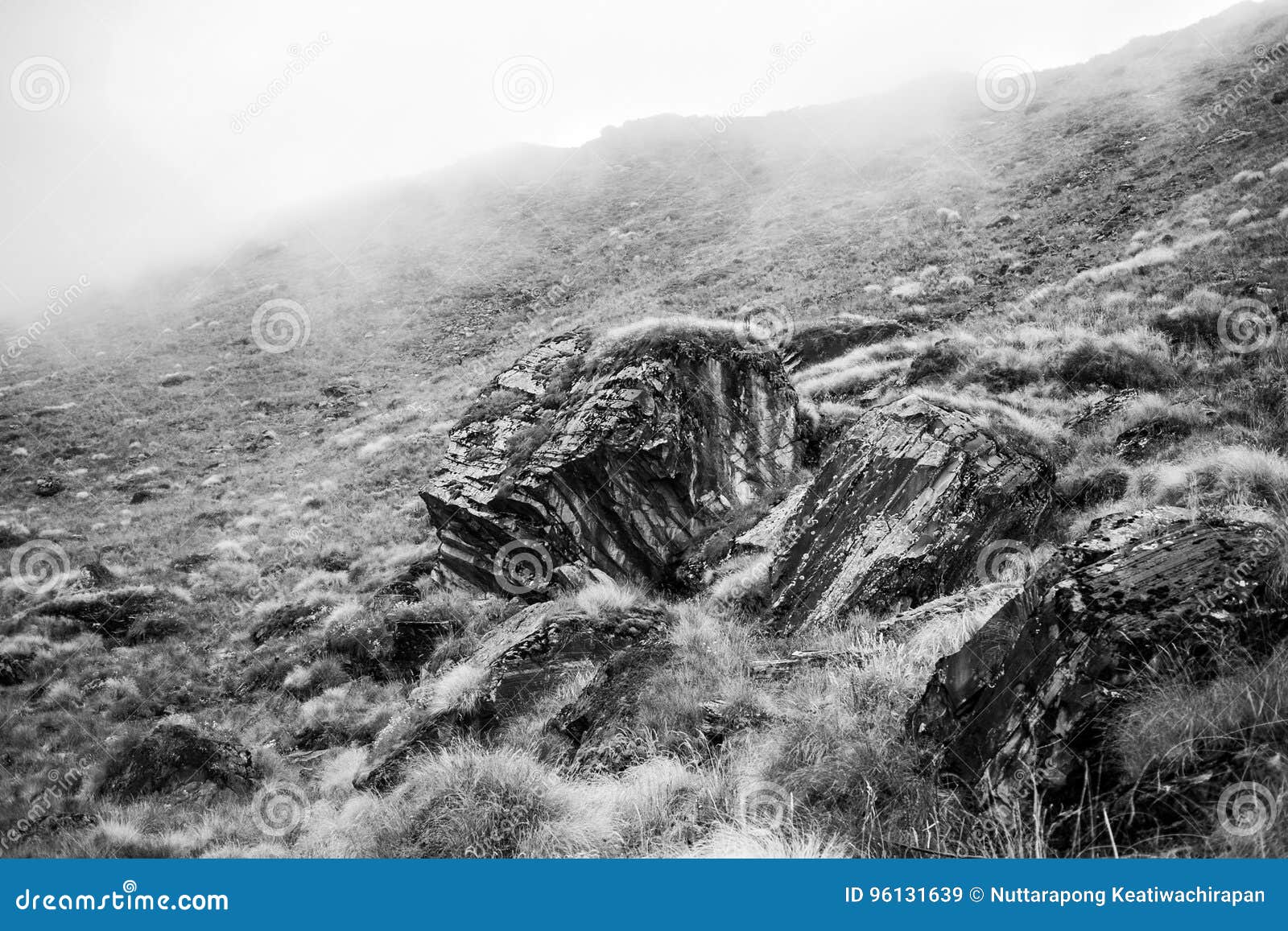 Coldest Stone Black and White Stock Image - Image of weather, field ...