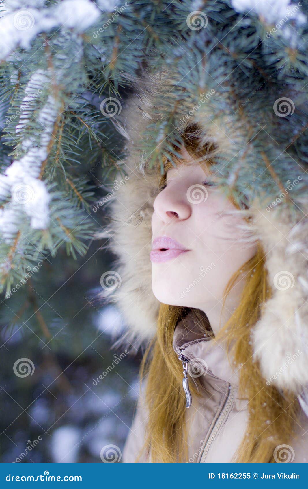 Coldly stock image. Image of woodwork, tree, blow, snowing - 18162255