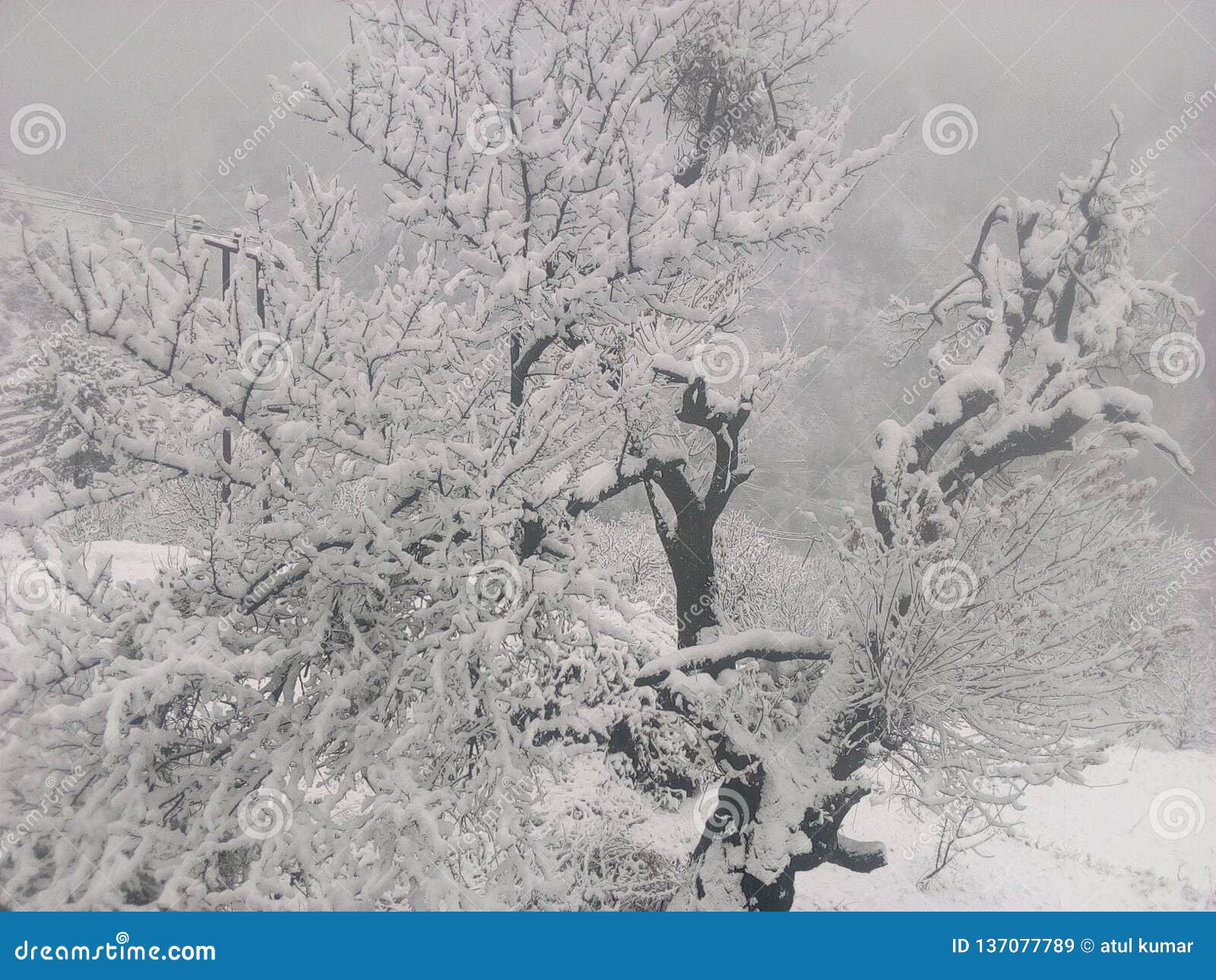 Coldness in the village stock image. Image of village - 137077789