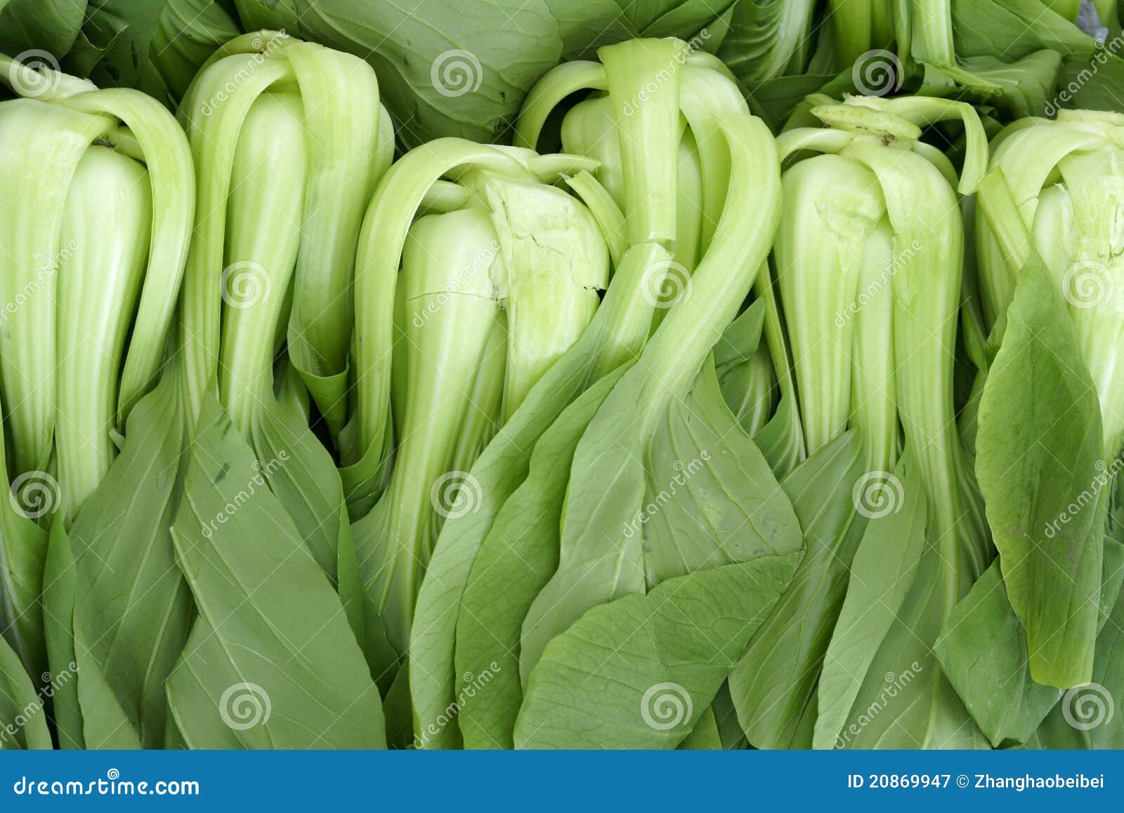 Cole stock image. Image of greenstuffs, vegetables, fresh - 20869947