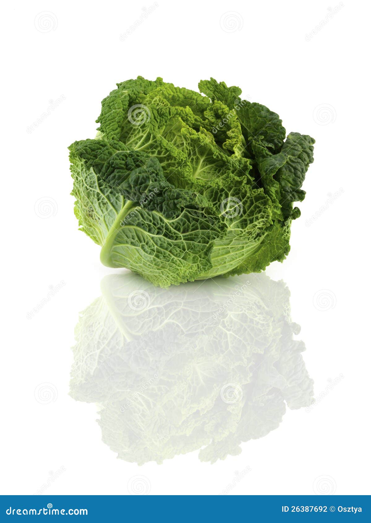 Cole stock photo. Image of vegetable, cole, gastronomy - 26387692