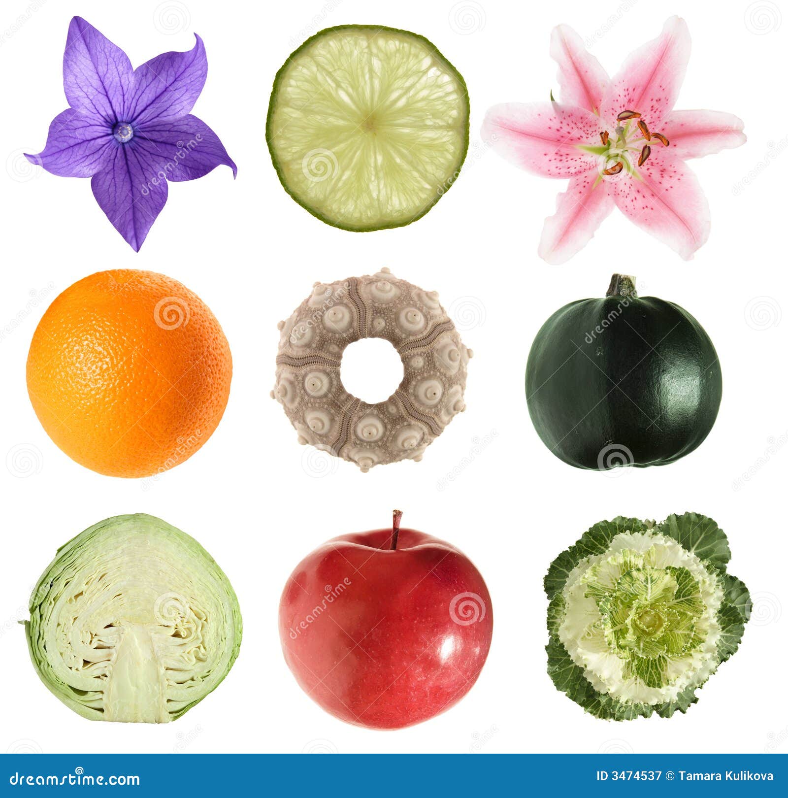 Colección De Objetos Naturales Imagen de archivo - Imagen de rebanada ...