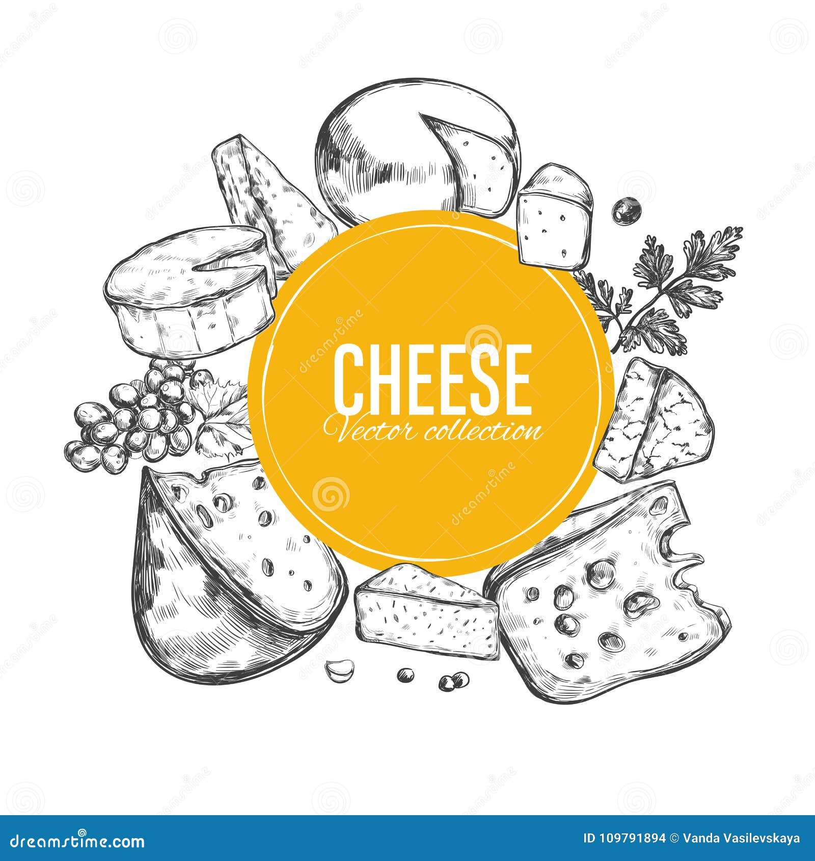 Colección Del Queso Vector 3 Ilustración del Vector - Ilustración de ...