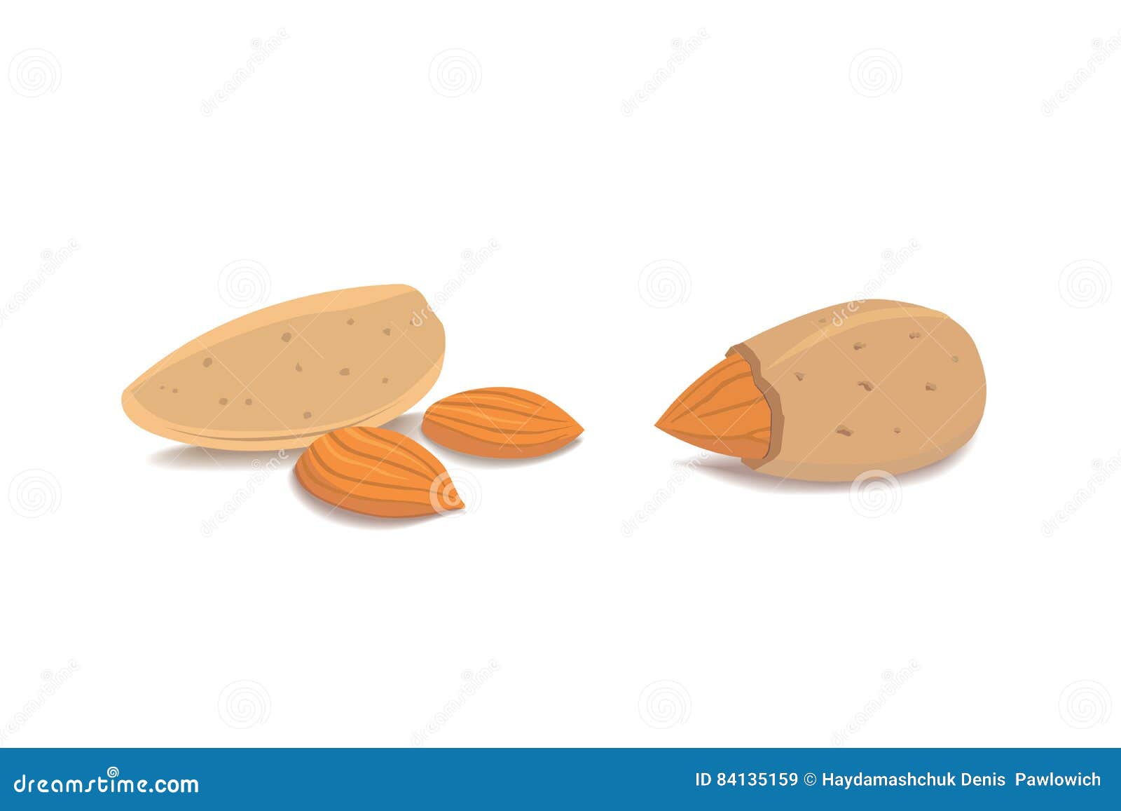 Colección Del Vector De Almendra Aislada Historieta Comida Vegeterian ...