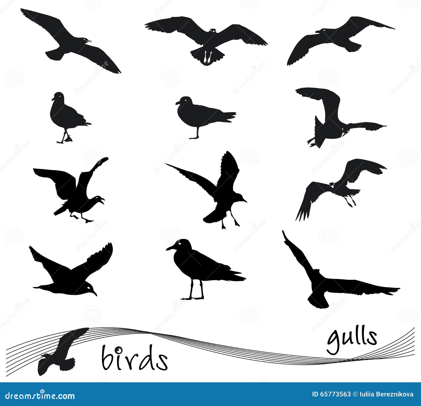 Colección Del Vector De Siluetas De Gaviotas Ilustración del Vector ...