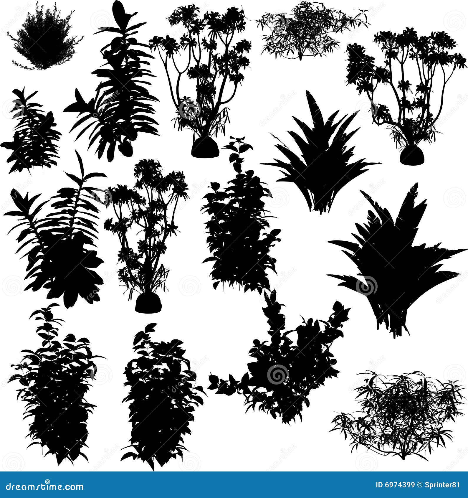 Colección Grande Del VECTOR De Planta Ilustración del Vector ...