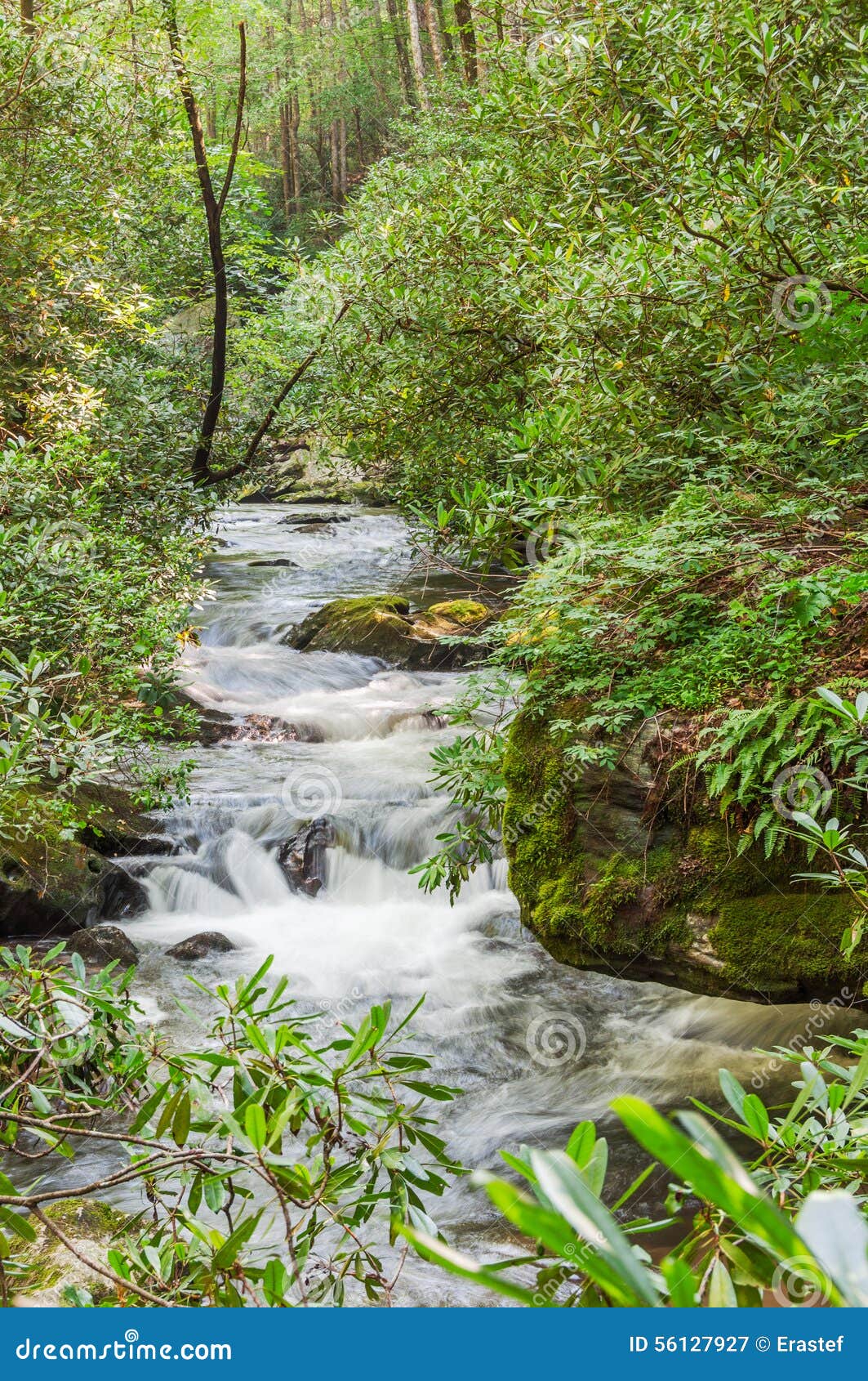 Coleman River stock image. Image of nature, attraction - 56127927