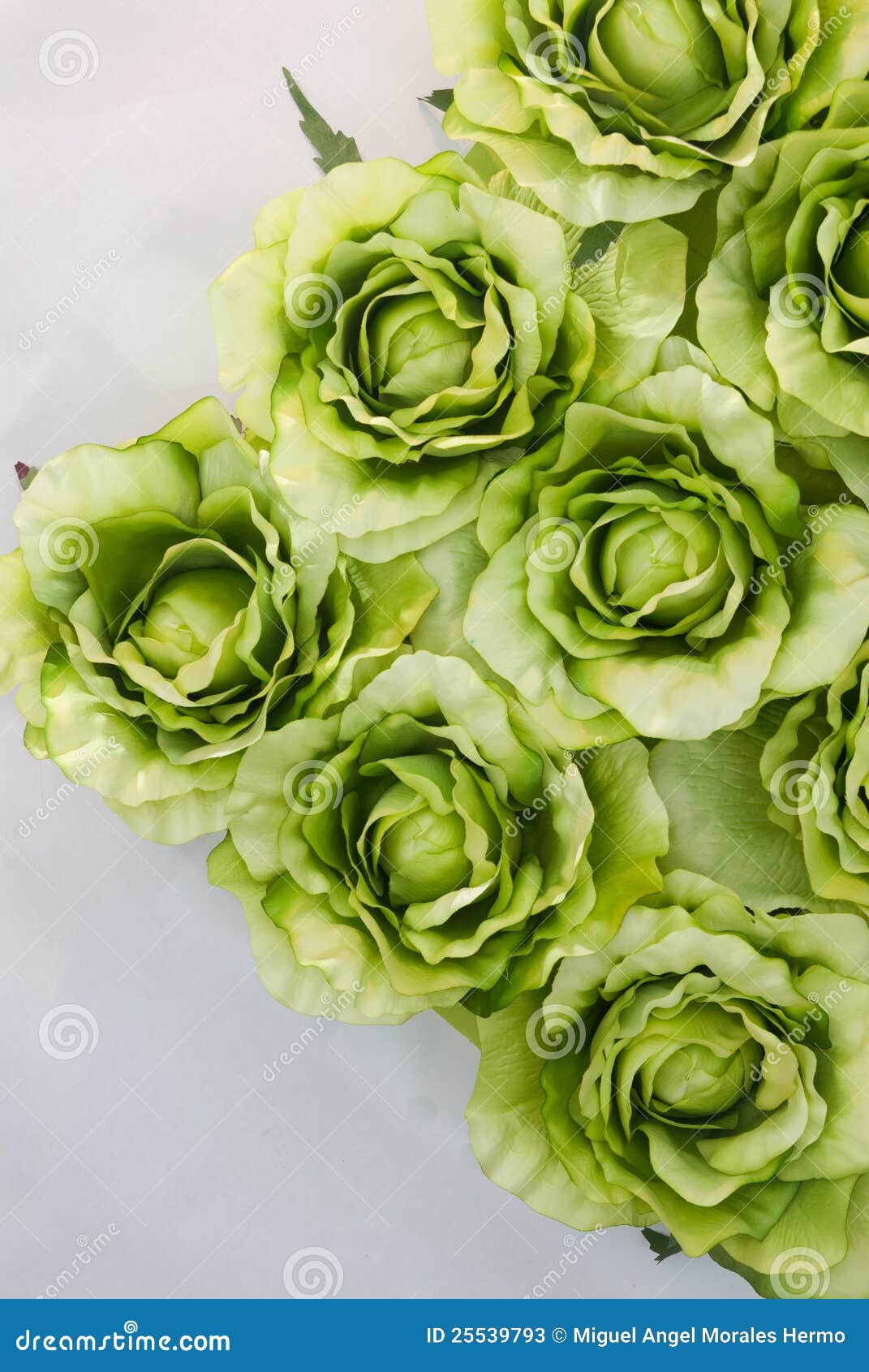 Coles Triangle Stock Photos - Free & Royalty-Free Stock Photos from ...