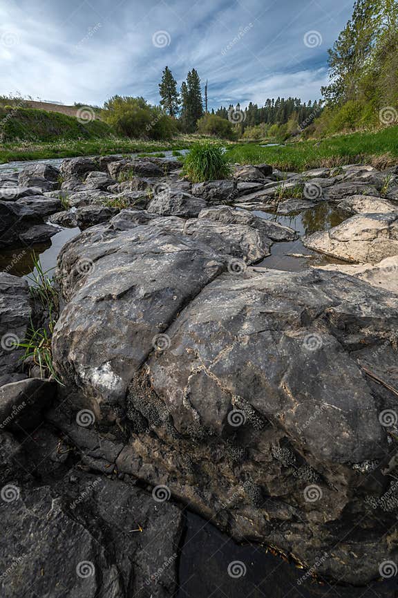 Colfax Trail stock photo. Image of landscape, panorama - 321243530