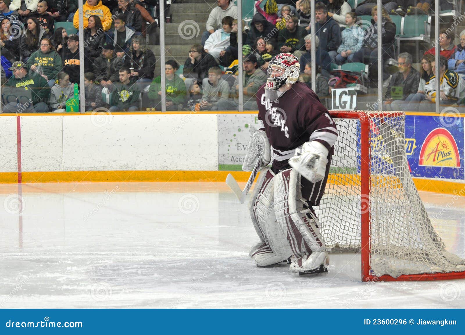 Colgate Alex Evin in NCAA Hockey Game Editorial Photo - Image of helmet ...