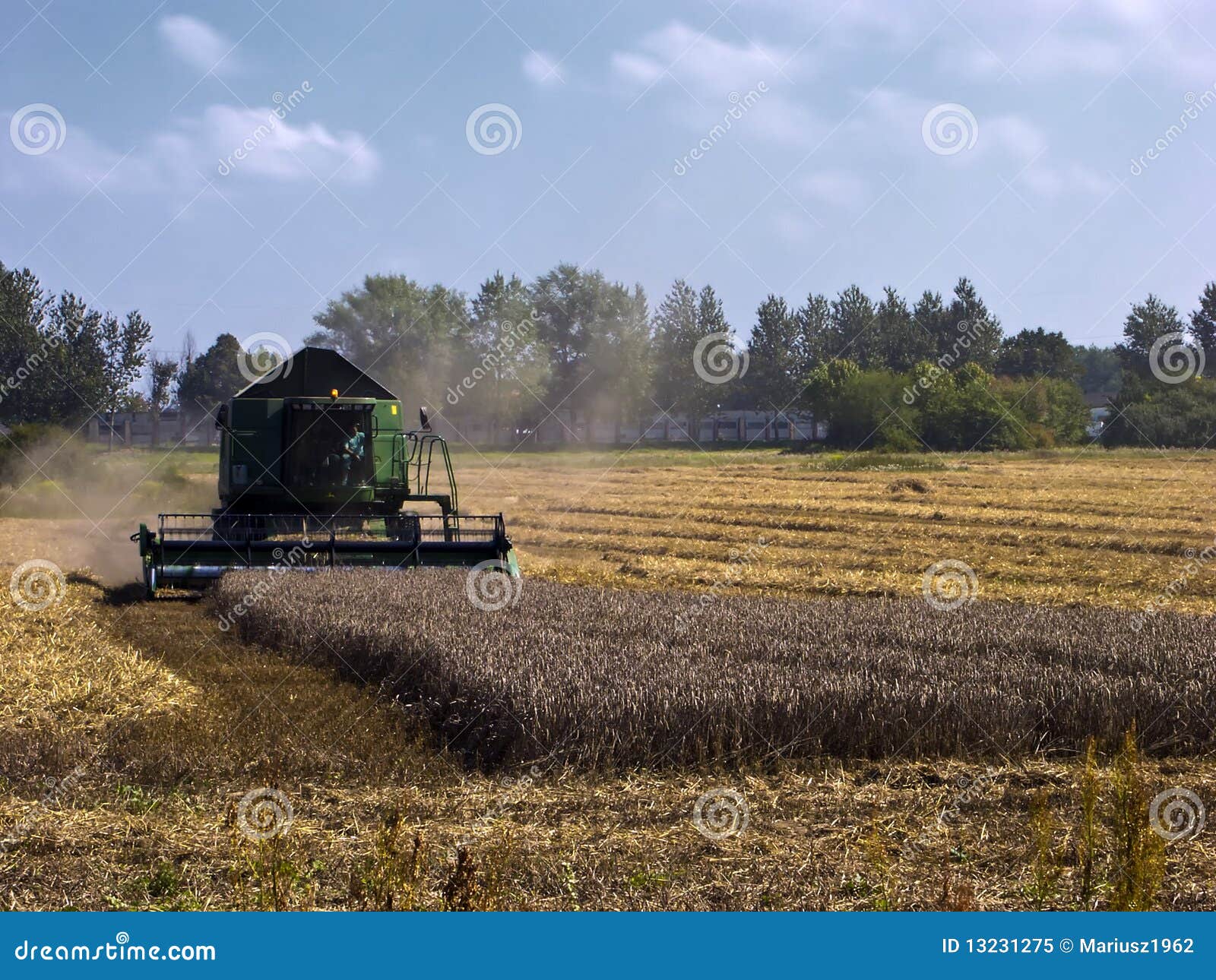 Colheita imagem de stock. Imagem de colheita, outono - 13231275